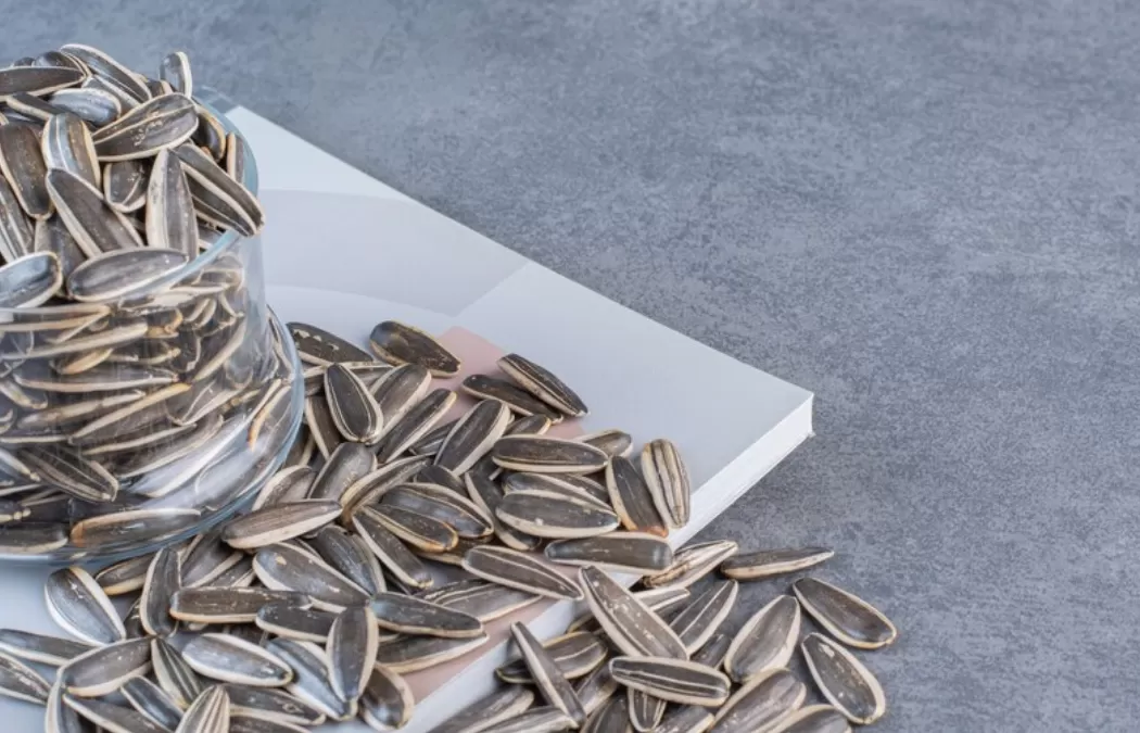 Konsumsi Biji Bunga Matahari Dukung Kesehatan Jantung Lifestyle