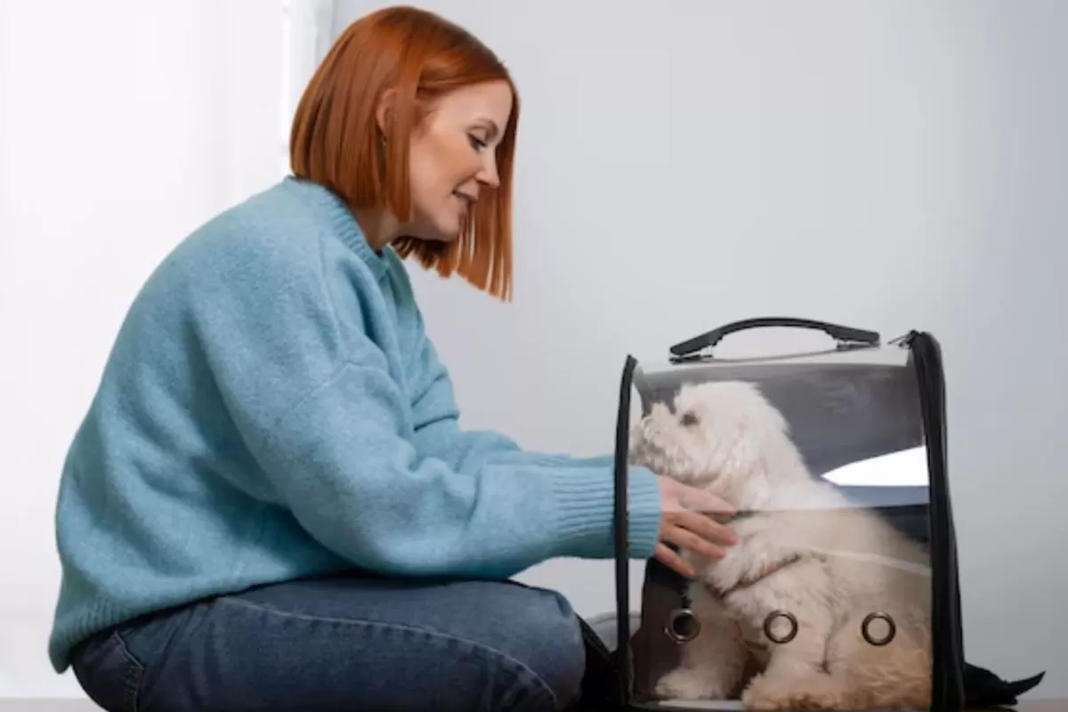 Tips dari Ahli Jika Ingin berlibur dengan Anabul – Lifestyle